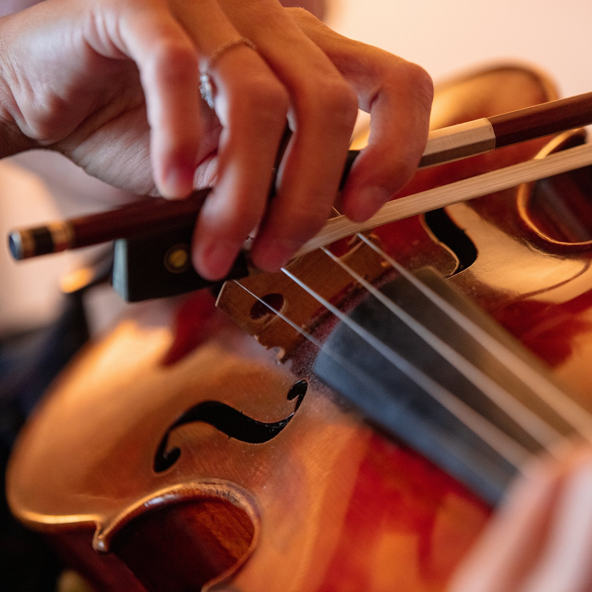 Bows – John Patrick Egan