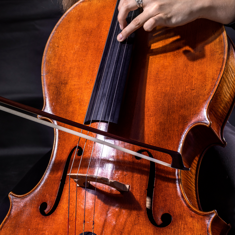 Buy Fine Violins, Violas, Cellos & Bows in Dublin – John Patrick Egan